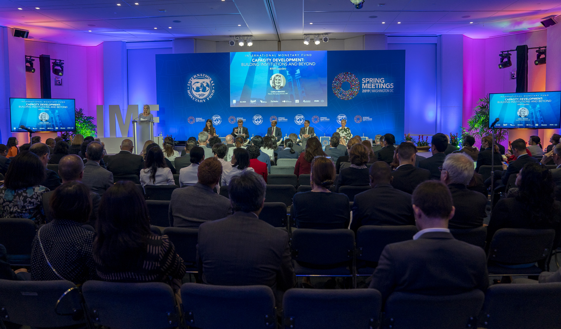 Capacity Development: Building Institutions and Beyond